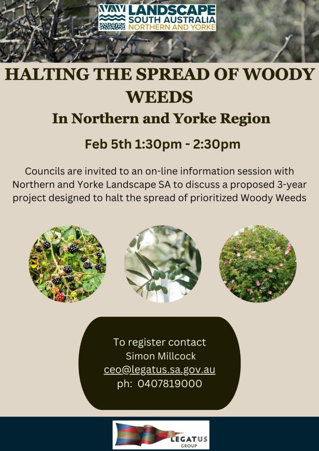 Halting the Spread of Woody Weed in Northern & Yorke Regions - Feb 5th ...